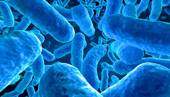 2022 National and State Healthcare-Associated Infections (HAI) Progress ...